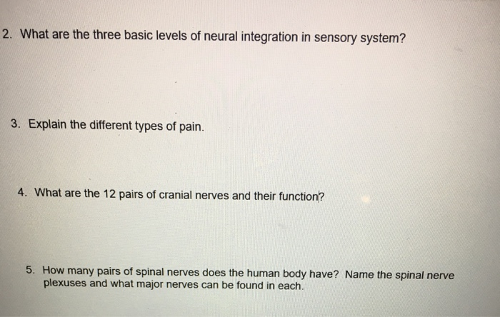 Solved 2. What are the three basic levels of neural | Chegg.com