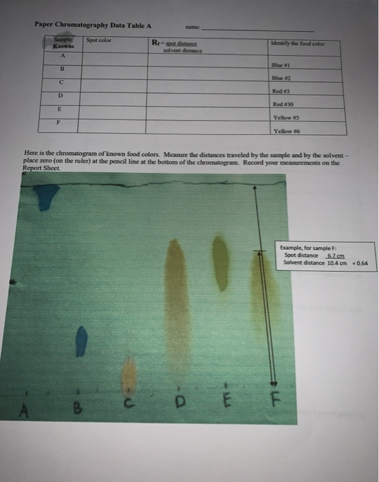 Solved Paper Chromatography Data Table A name Spot color | Chegg.com