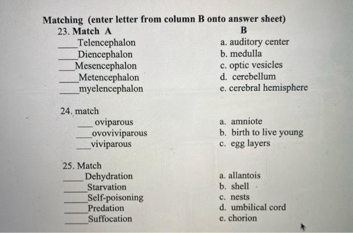 Solved Matching (enter letter from column B onto answer | Chegg.com
