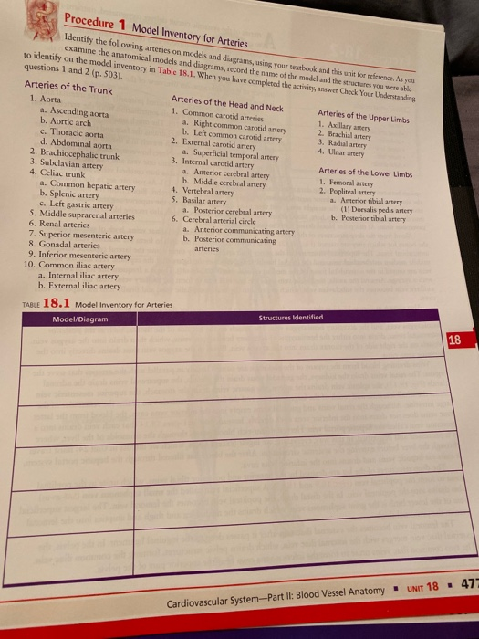 Procedure 1 Model Inventory for Arteries Identify the | Chegg.com
