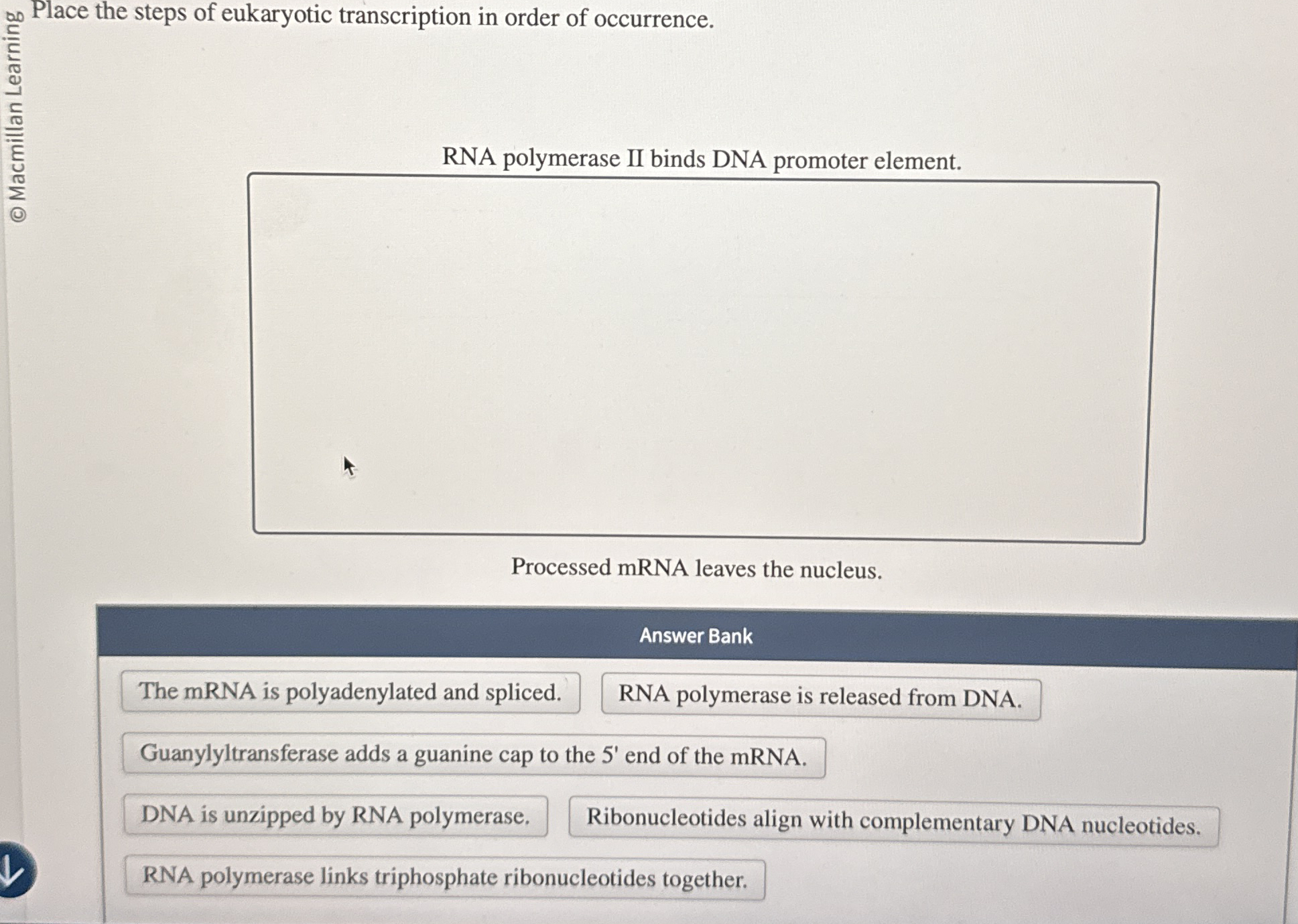 High Quality SOLUTION RNA polymerase II binds DNA promoter | Chegg.com