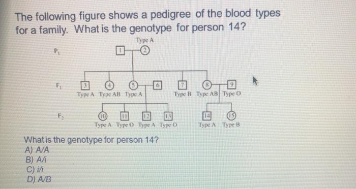Solved The following figure shows a pedigree of the blood | Chegg.com