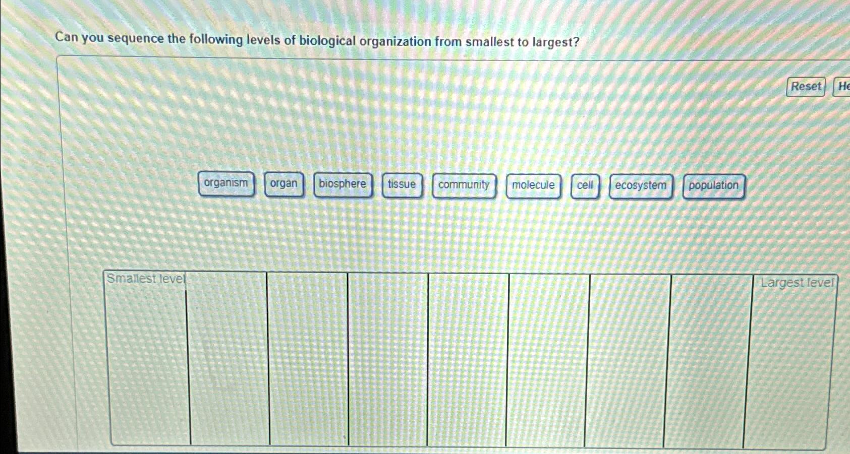 Solved Can you sequence the following levels of biological | Chegg.com