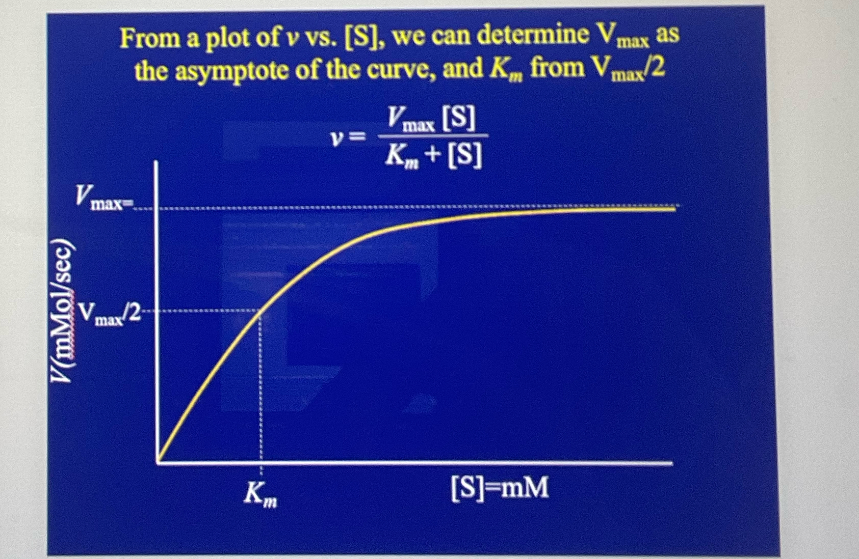 Estimate from the M-M plot below: Vmax, Km, ﻿and | Chegg.com
