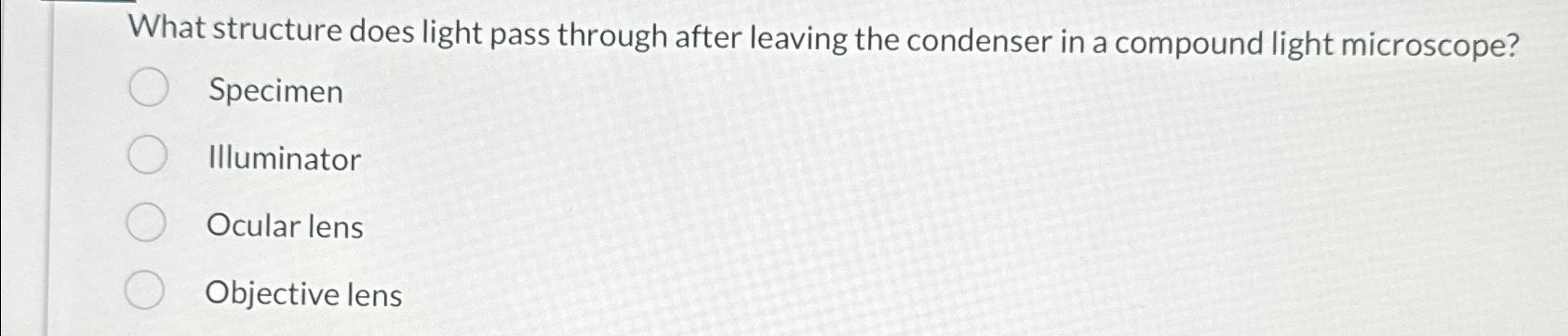 Solved What structure does light pass through after leaving | Chegg.com