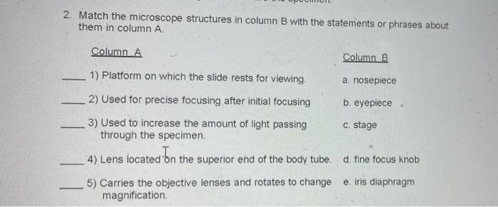 Solved 2. Match the microscope structures in column B with | Chegg.com