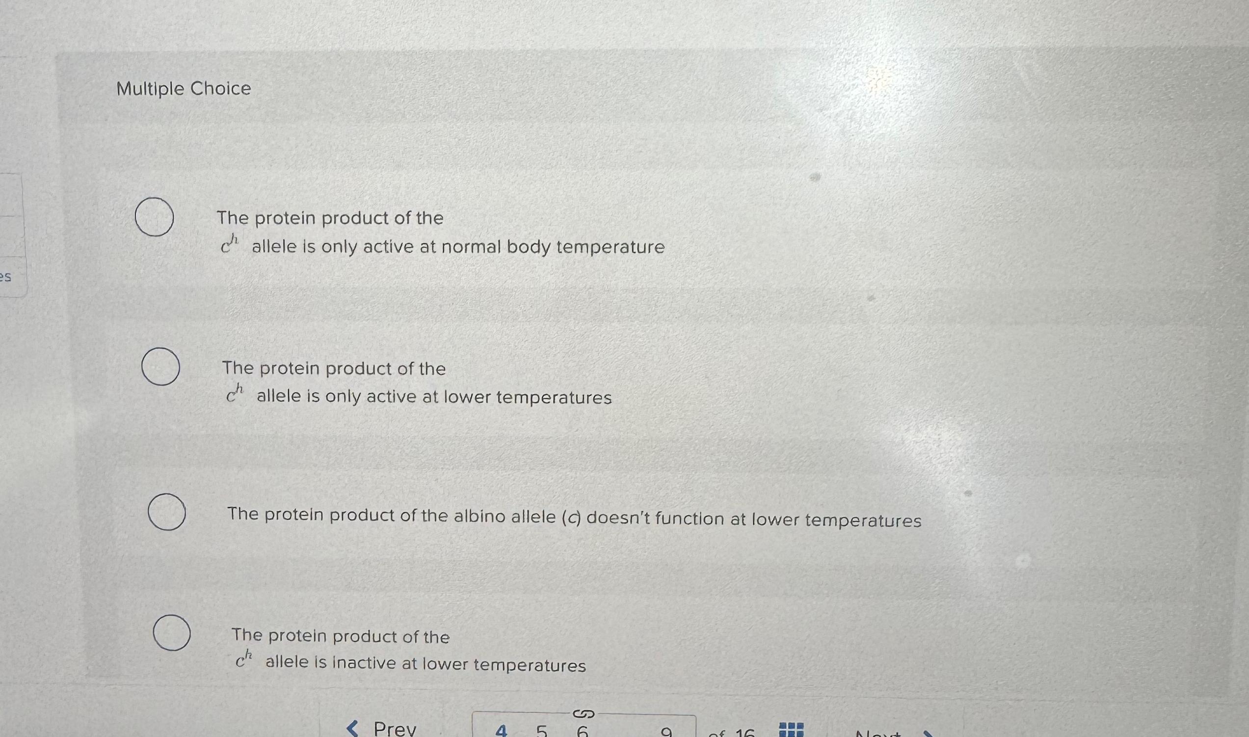 Solved Multiple ChoiceThe protein product of the ch ﻿allele | Chegg.com