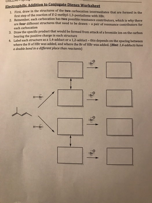 Solved CHE 220 pm Electrophilic Addition to Conjugate Dienes | Chegg.com