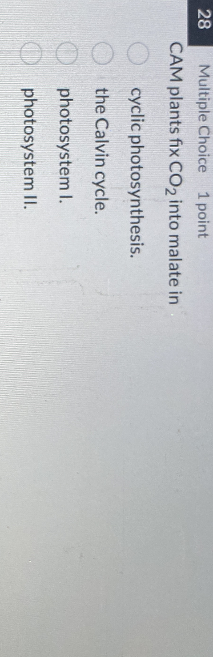 Solved 28 ﻿Multiple Choice 1 ﻿pointCAM plants fix CO2 ﻿into | Chegg.com