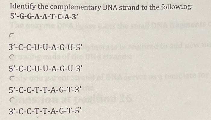 Solved Identify The Complementary Dna Strand To The
