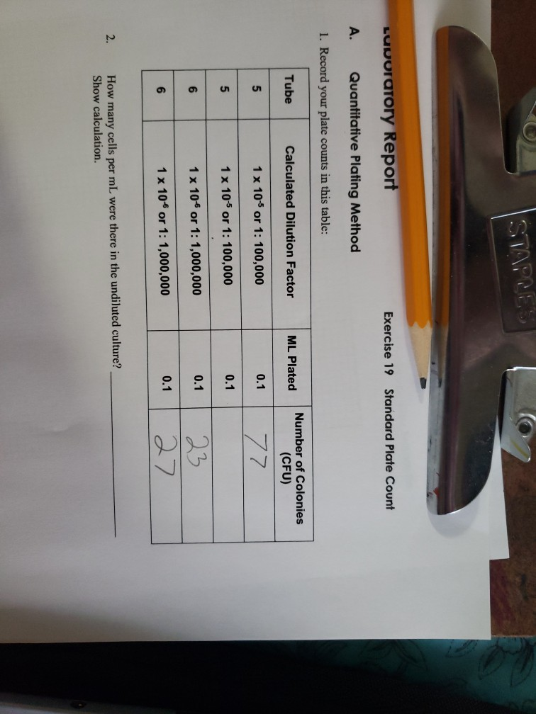 Solved Laboratory Report Exercise 19 Standard Plate Count A. | Chegg.com