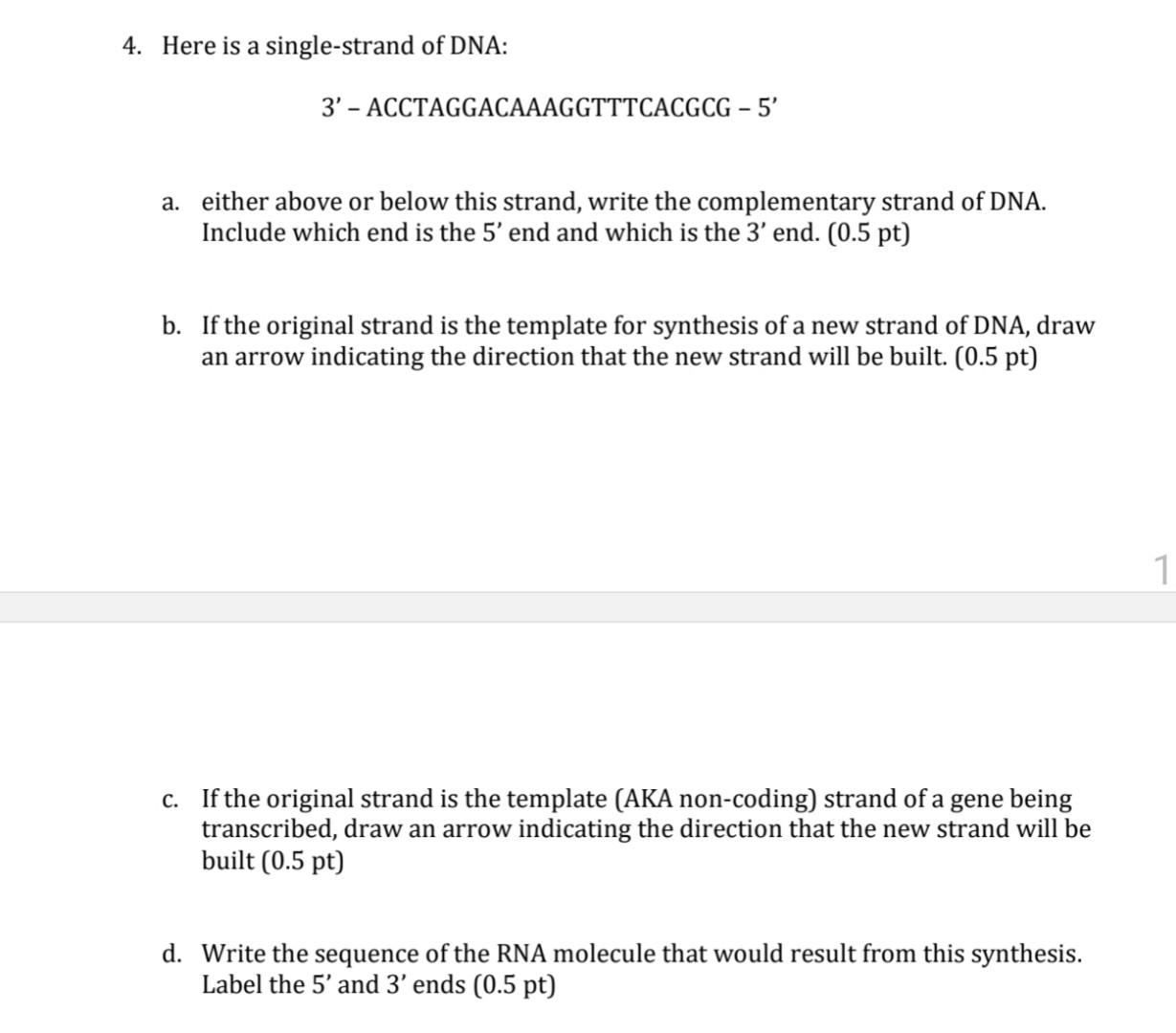 Solved 4. Here is a single-strand of DNA: 3' - | Chegg.com