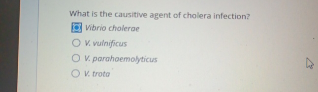 Solved What is the causitive agent of cholera | Chegg.com