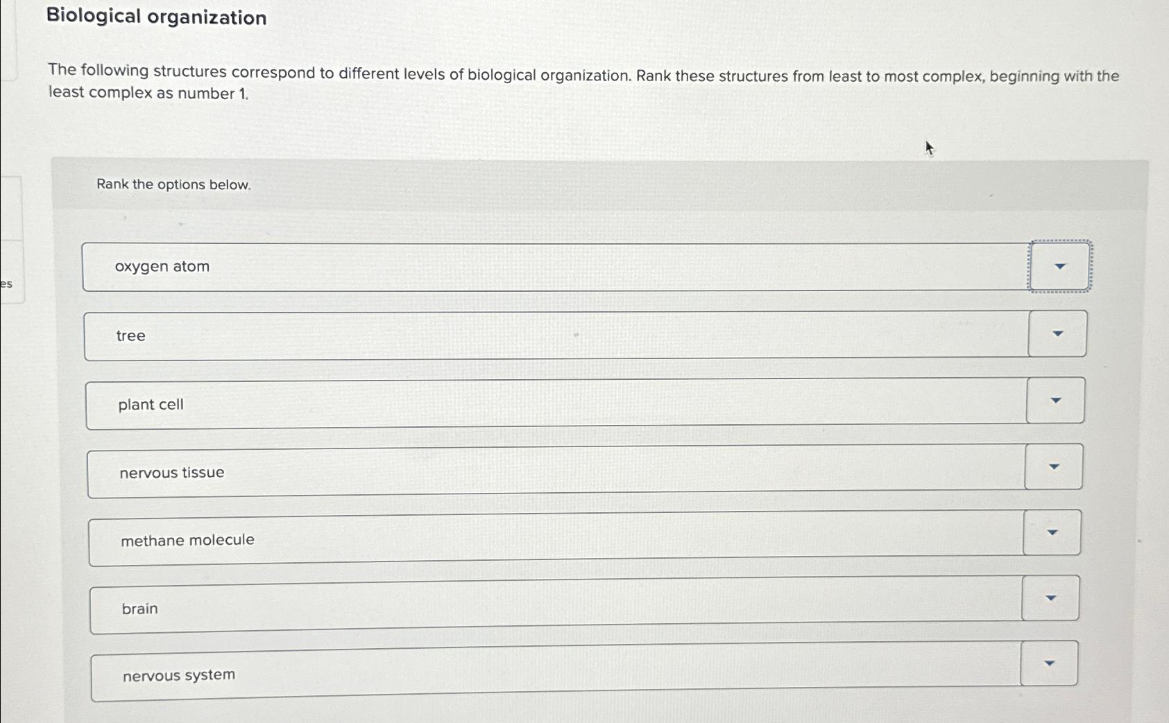 Solved Biological organizationThe following structures | Chegg.com
