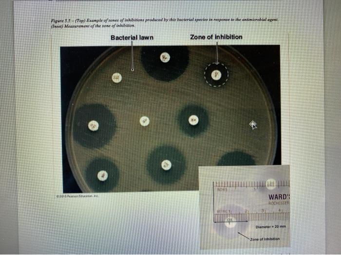 The table of Kirby-Bauer ZOI interpretative for | Chegg.com