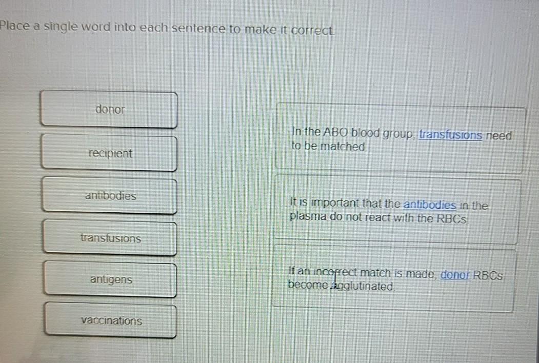 Solved Place A Single Word Into Each Sentence To Make It Chegg