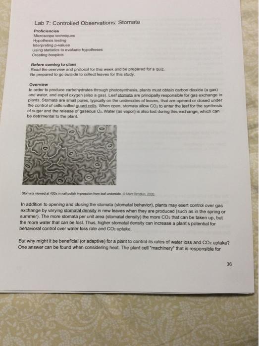 Lab 7: Controlled Observations: Stomata Proficiencies | Chegg.com