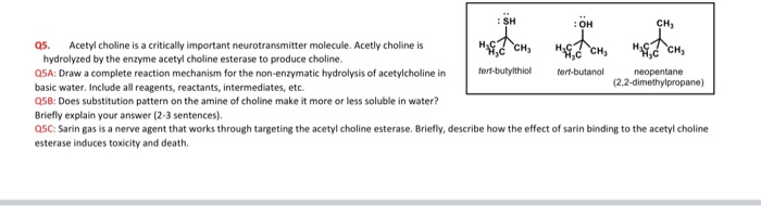 Solved Q5. Acetylcholine is a critically important | Chegg.com
