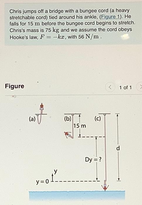 Solved Chris jumps off a bridge with a bungee cord (a heavy | Chegg.com