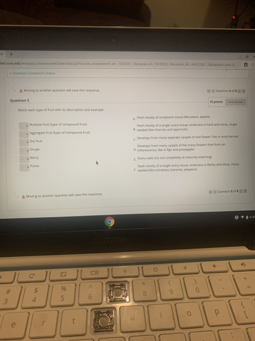 Solved ted.cuny.edu/webapps/assessment coursement de | Chegg.com