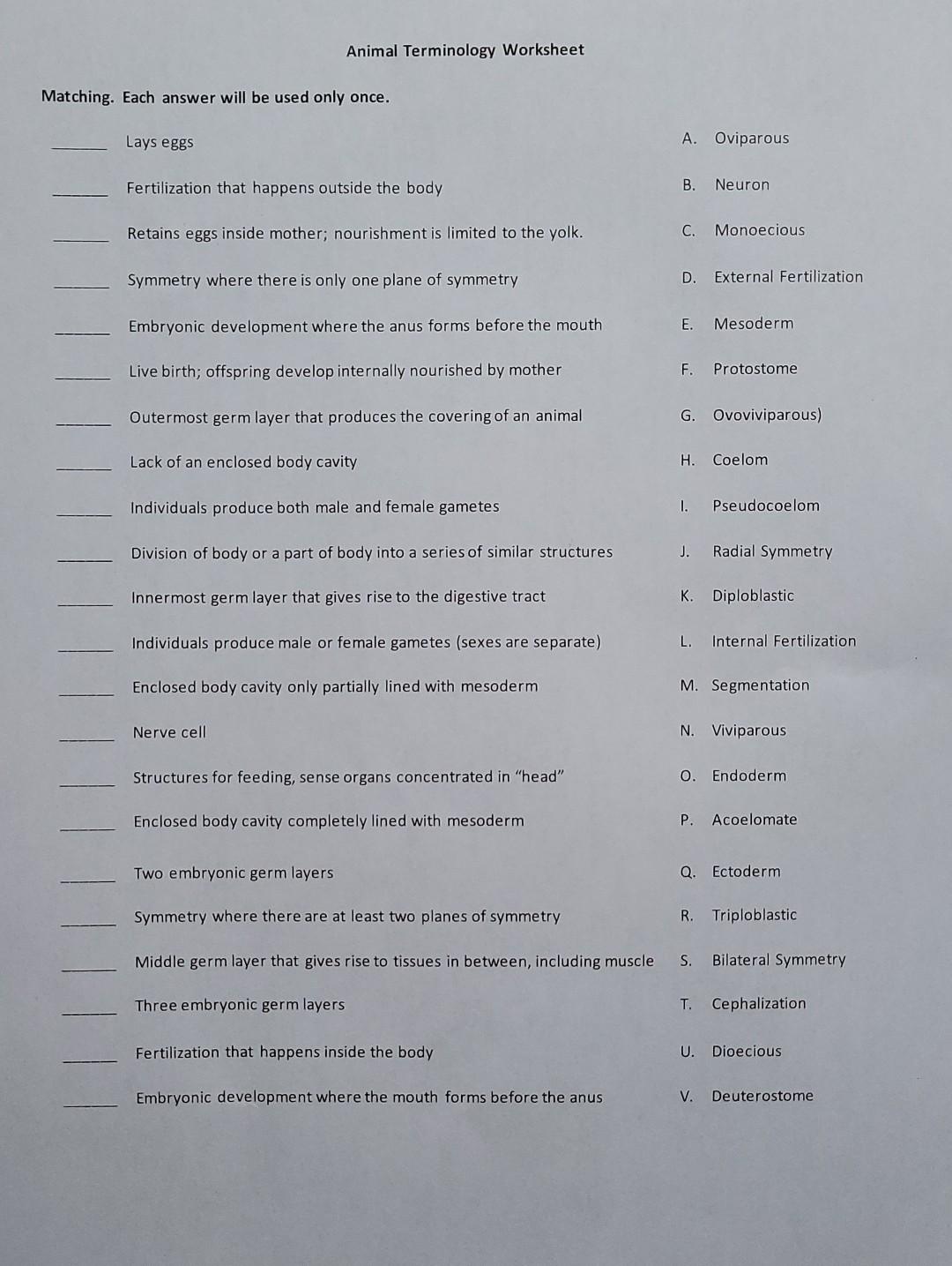 Solved Animal Terminology Worksheet Matching. Each answer | Chegg.com