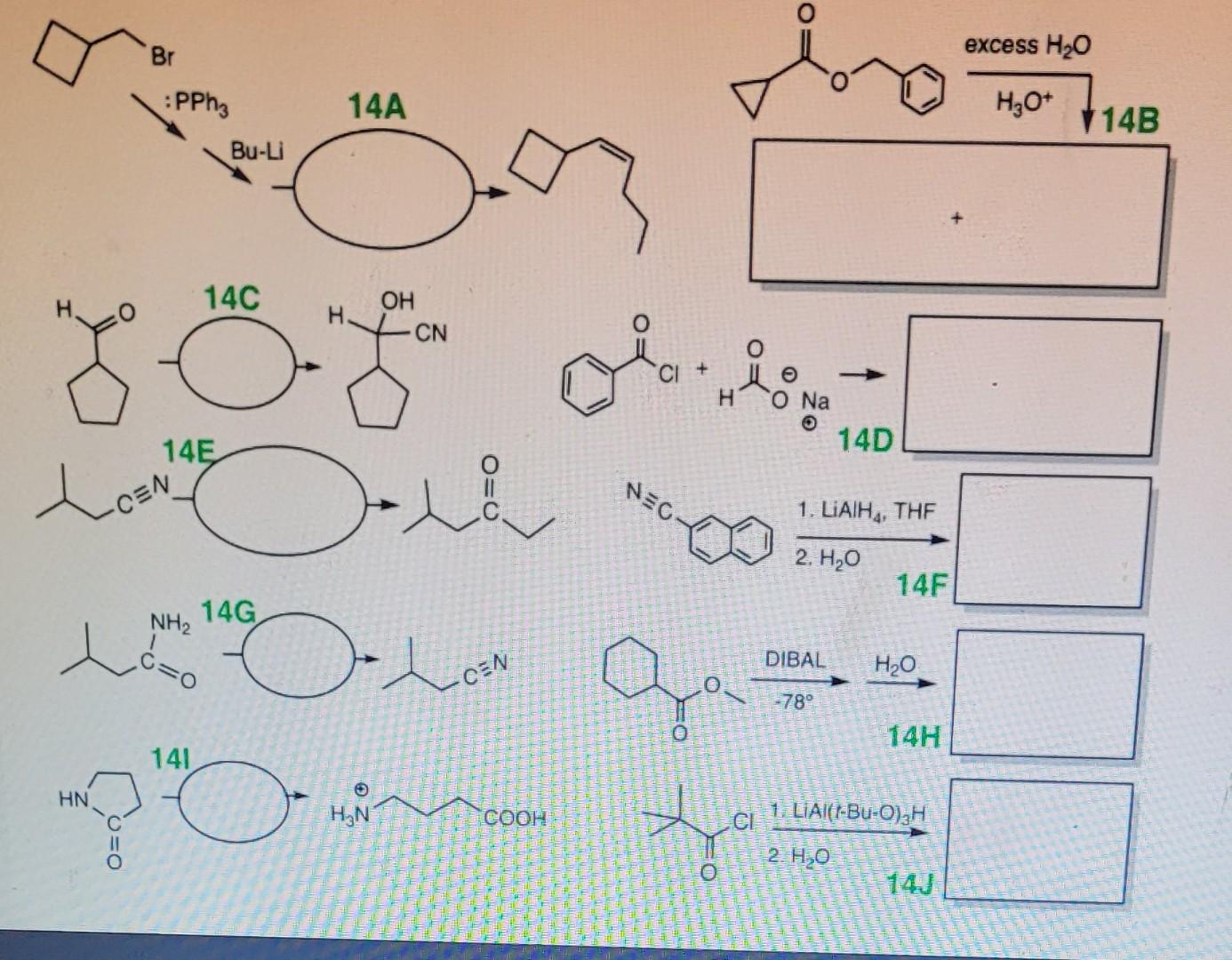 Solved Br excess H20 14A H₂O+ :PPha Bu-Li 148 14C OH CN " CI | Chegg.com