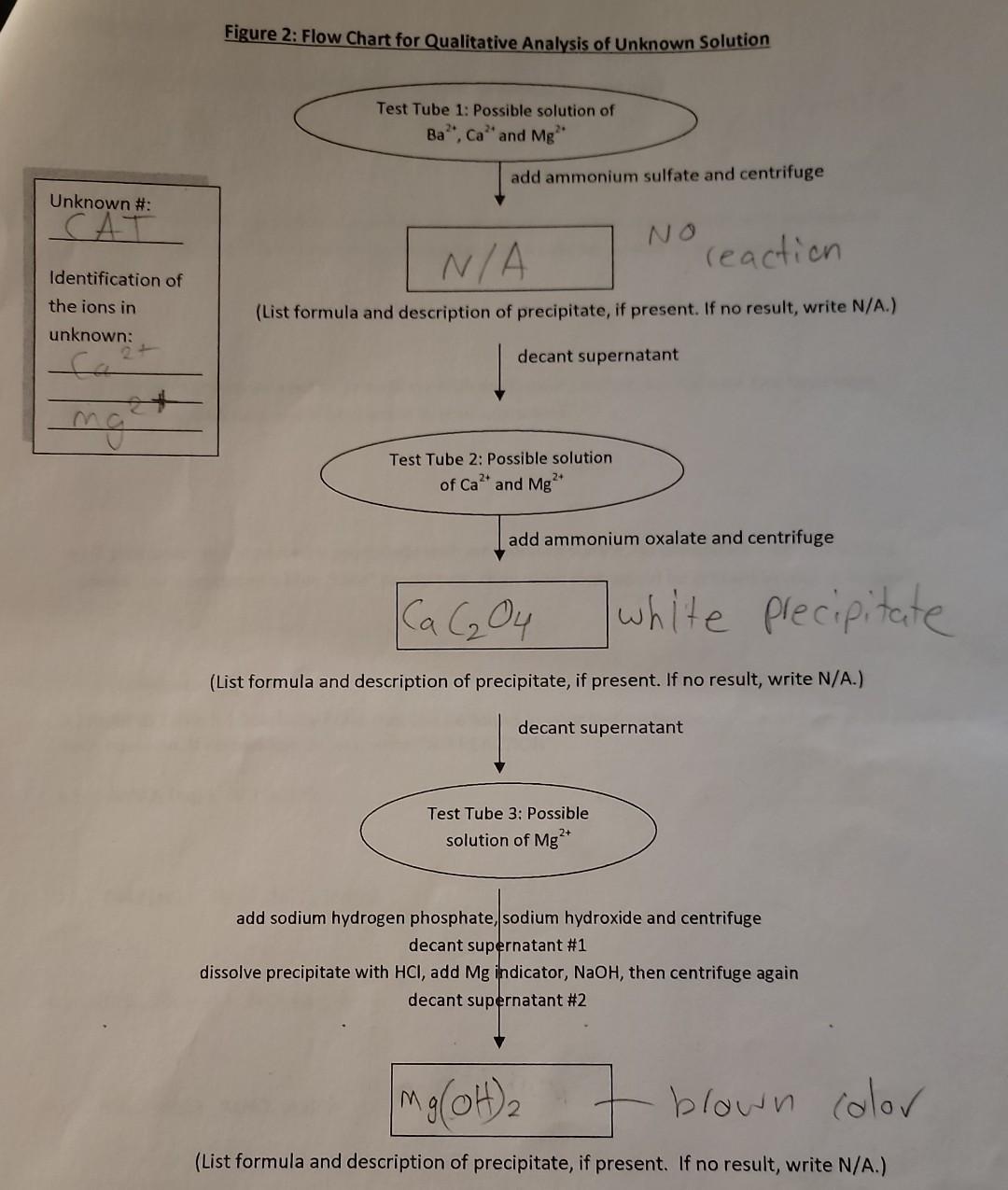 Figure 1: Flow Chart for Qualitative Analysis of | Chegg.com