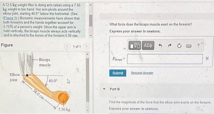 Solved A 72.5 kg weight lifter is doing arm raises using a | Chegg.com