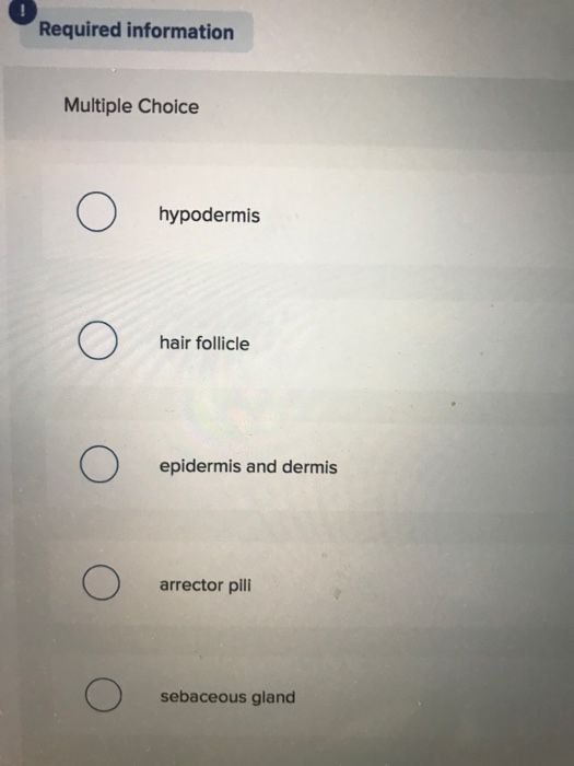 Solved What does structure "D" represent on the diagram? 2.1 | Chegg.com