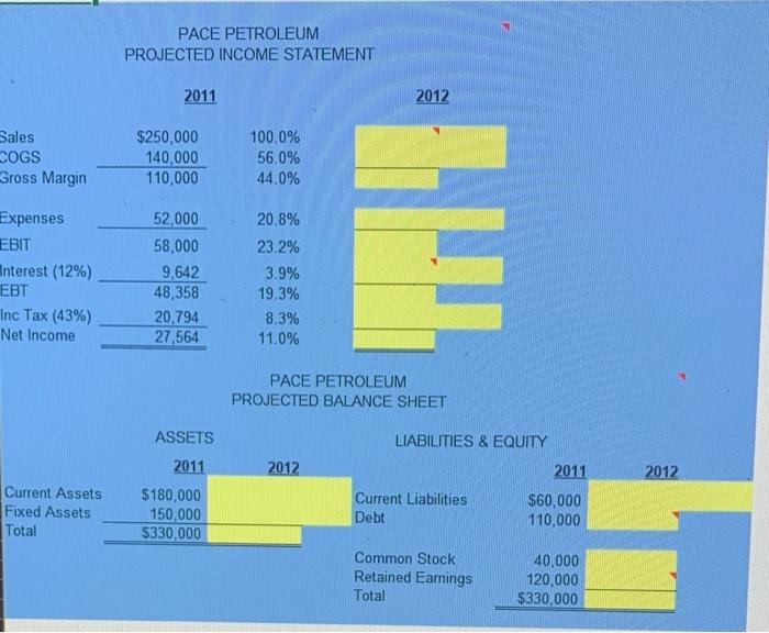PACE PEIROLEUM PROJECTED INCOME STATEMENT PACE | Chegg.com