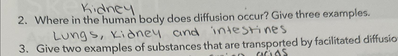 Solved 2. ﻿Where in the human body does diffusion occur? | Chegg.com