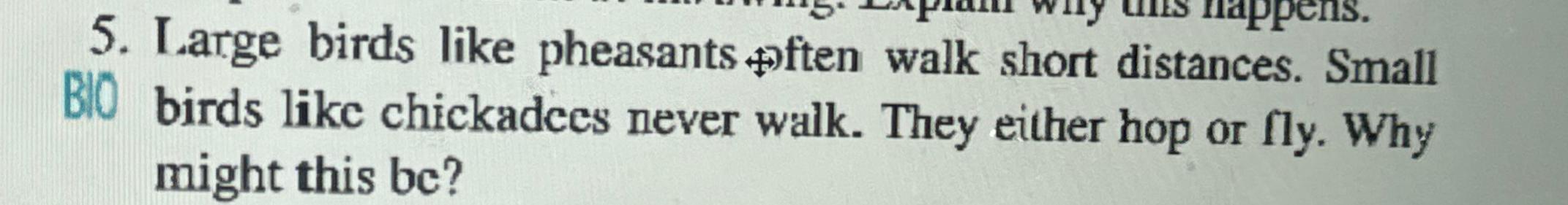 Solved Large birds like pheasants uarr ften walk short | Chegg.com