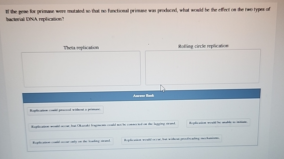 Solved If the gene for primase were mutated so that no | Chegg.com