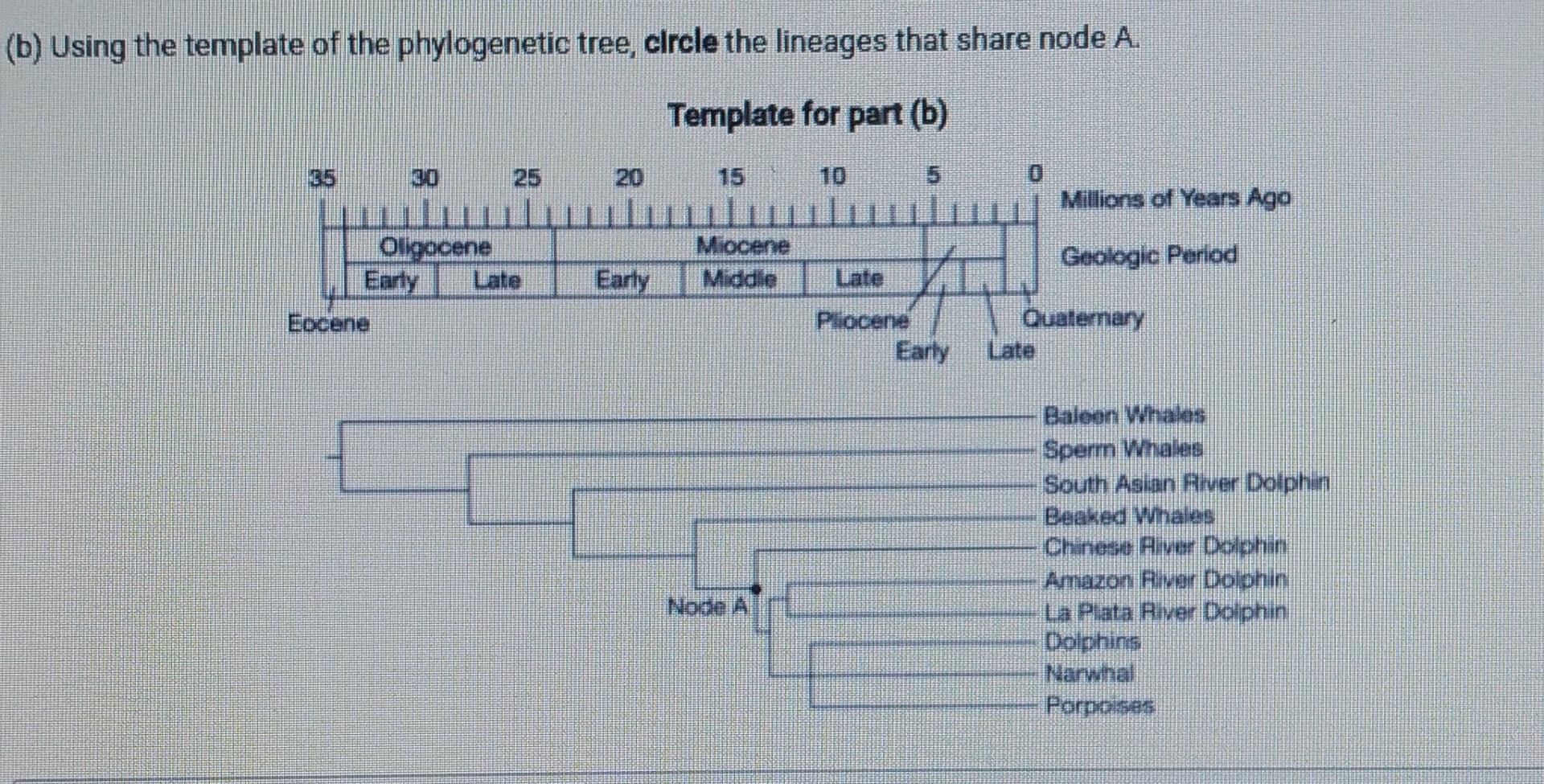 Read each question carefully. Write your response in | Chegg.com