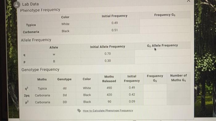 Phenotype Frequency Color Initial Frequency Frequency | Chegg.com