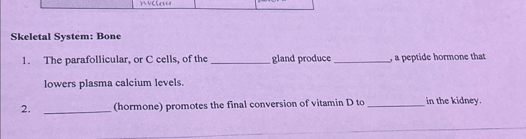 Solved Skeletal System: BoneThe parafollicular, or C cells, | Chegg.com