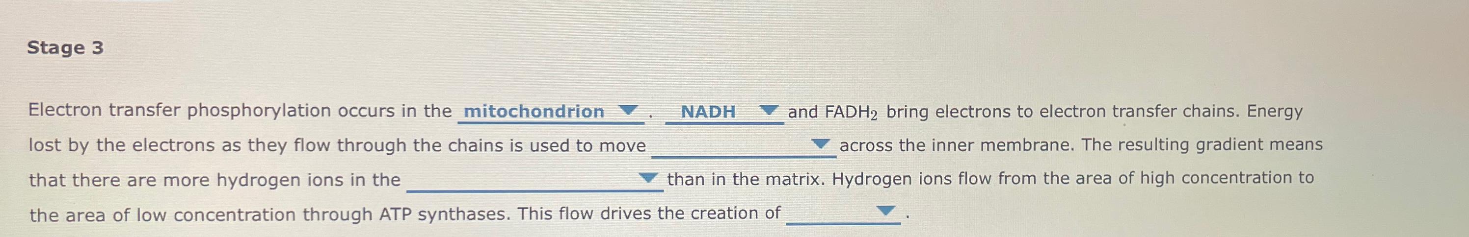 Solved Stage 3Electron transfer phosphorylation occurs in | Chegg.com