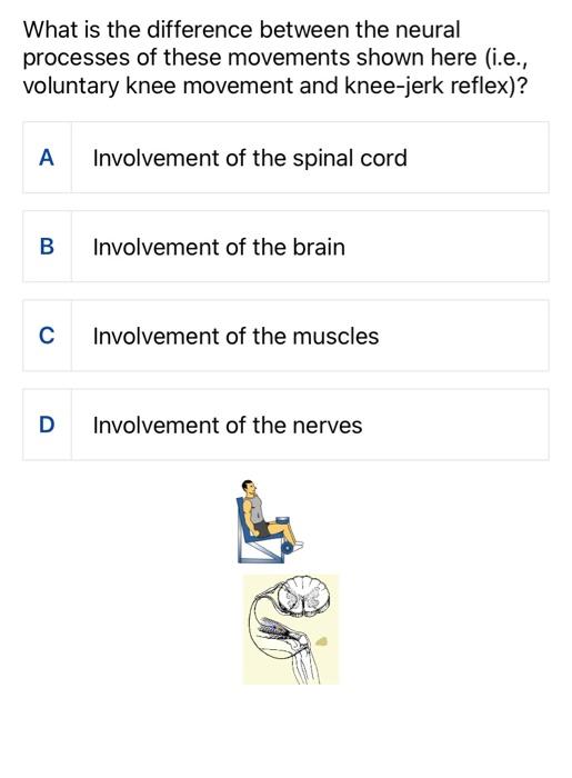 [Solved]: What is the difference between the neural process