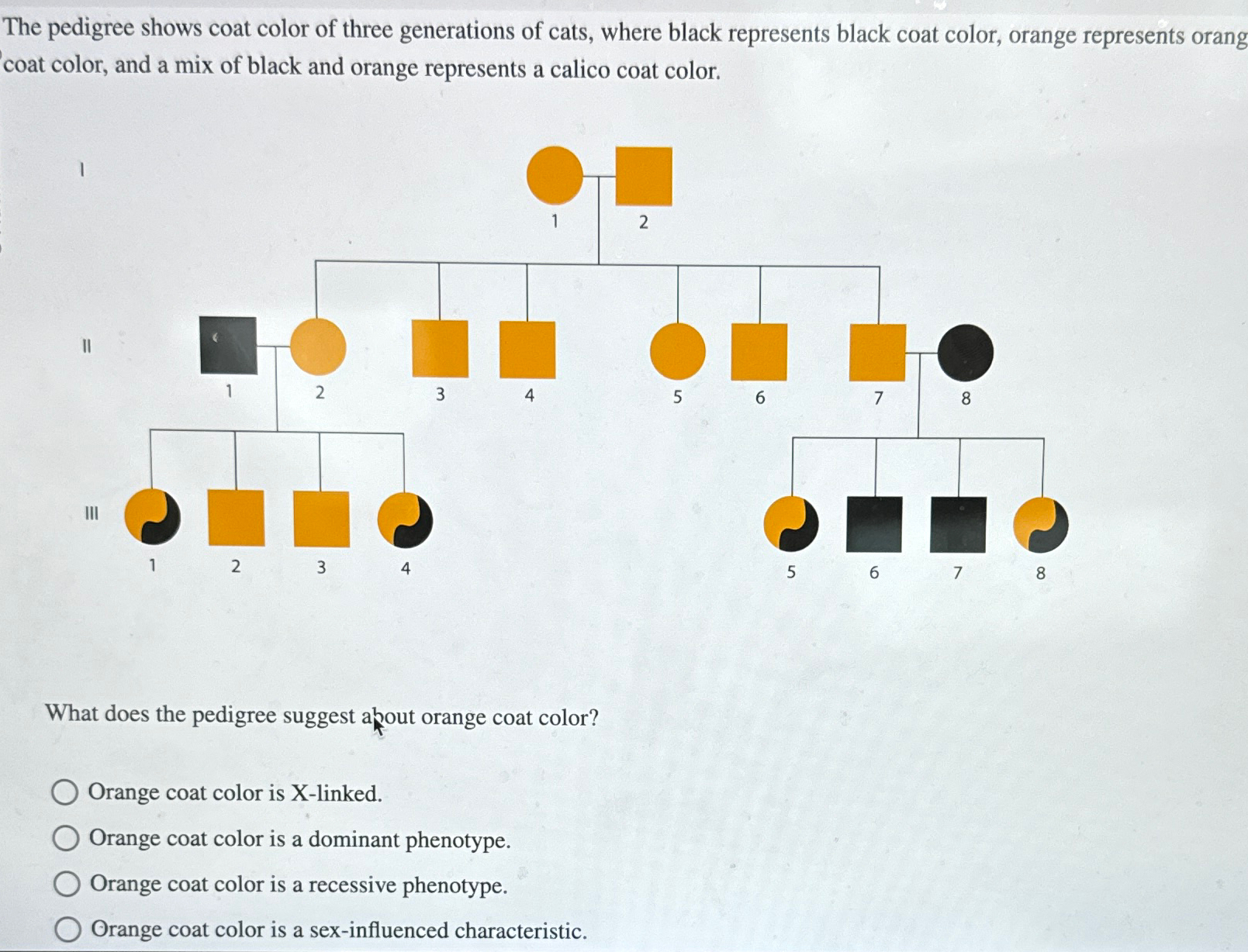 Solved The pedigree shows coat color of three generations of | Chegg.com