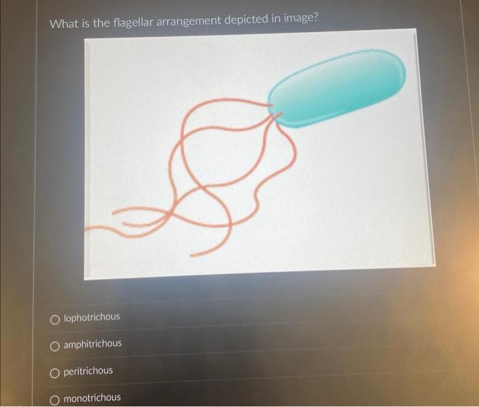 Solved What is the flagellar arrangement depicted in image? | Chegg.com