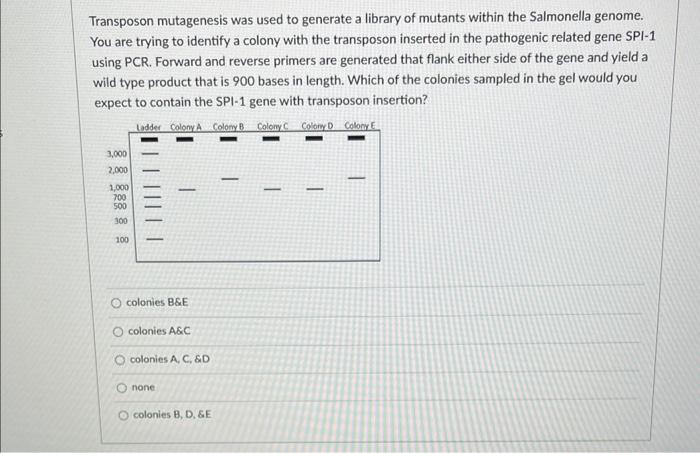 Solved Transposon mutagenesis was used to generate a library | Chegg.com