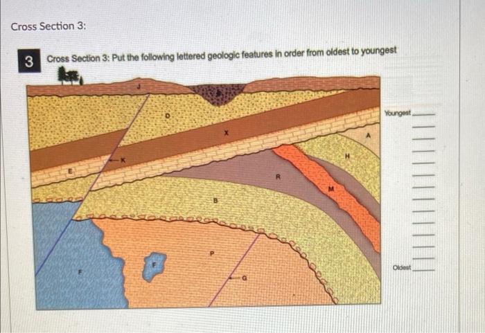 Solved Cross Section 3: 3 Cross Section 3: Put the following | Chegg.com