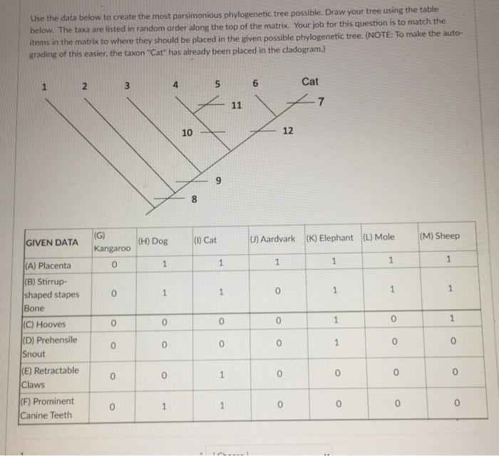 Solved Use the data below to create the most parsimonious | Chegg.com