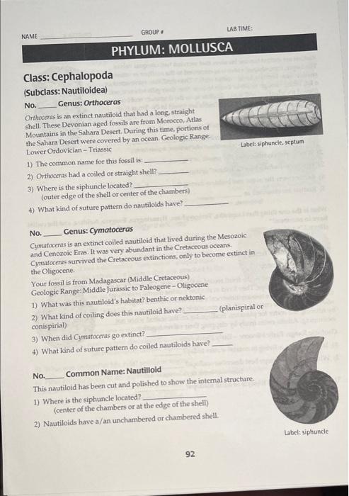 Solved GROUP LAB TIME: NAME PHYLUM: MOLLUSCA Class: | Chegg.com