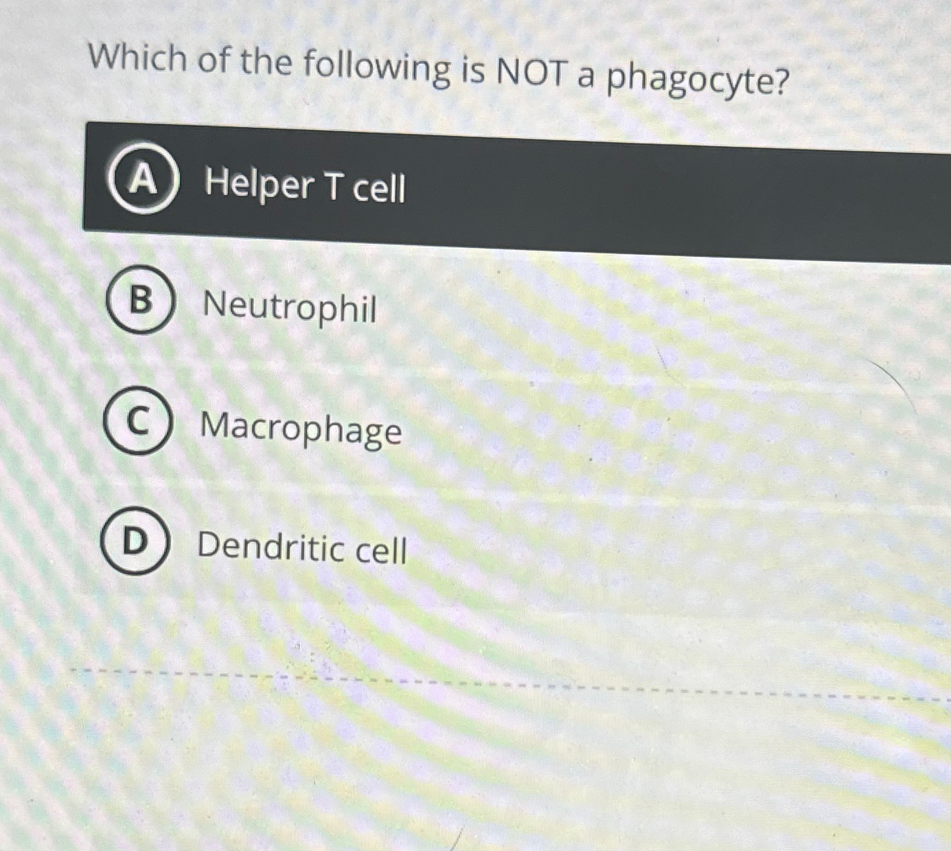 Solved Which of the following is NOT a phagocyte?(A) ﻿Helper | Chegg.com
