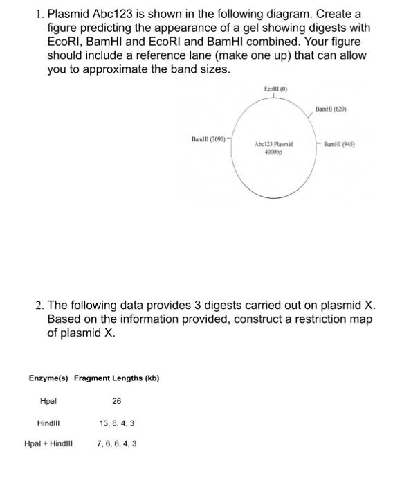 Solved 1. Plasmid Abc123 is shown in the following diagram. | Chegg.com