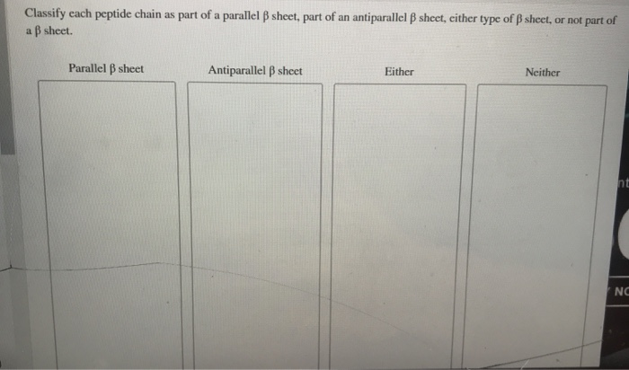 Classify each peptide chain as part of a parallel B | Chegg.com