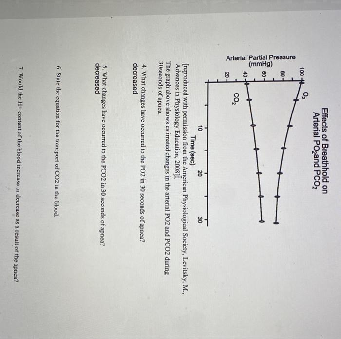 Solved Effects of Breathhold on Arterial PO2 and PCO2 | Chegg.com