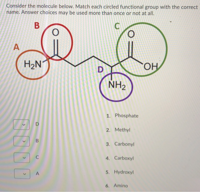 Solved Consider a covalent bond between carbon and hydrogen. | Chegg.com