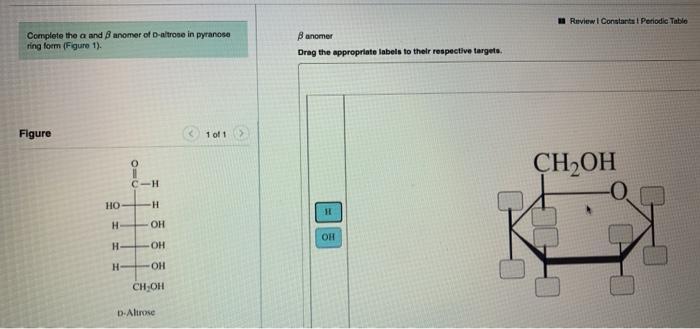 Solved Complete the aand anomer of Daltose in pyranose ring | Chegg.com